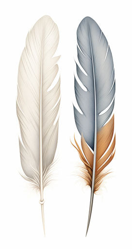 Two feathers clip art, captivating tattoo style – IMAGELLA