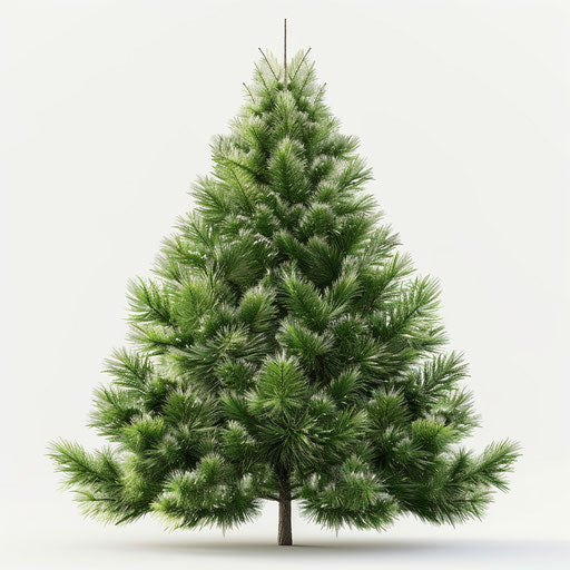 Realistic Christmas tree clipart with white background, modern design ...