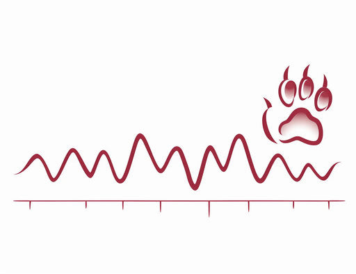 Vector heart rate line with paw print, white background – IMAGELLA