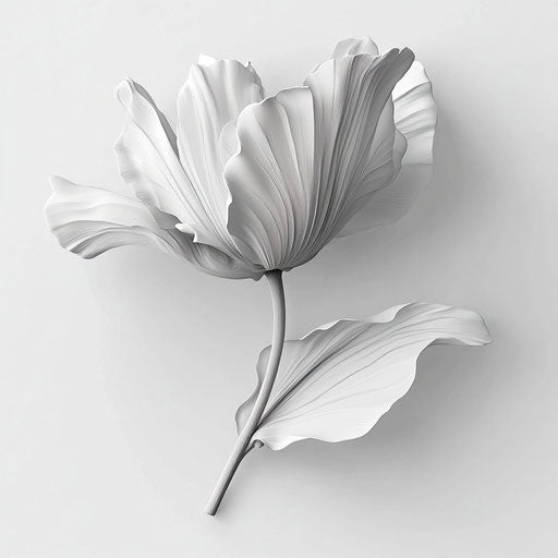 3D flower outline, photo realistic style, white background – IMAGELLA