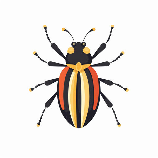 Minimalist bug artwork on a white backdrop – IMAGELLA