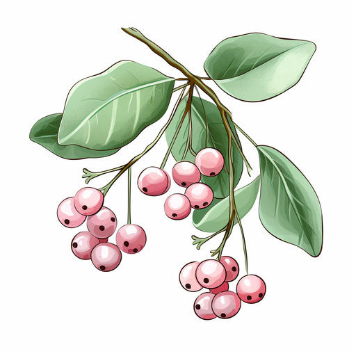 Mistletoe illustration in Pastel Colors Art style, on white background ...