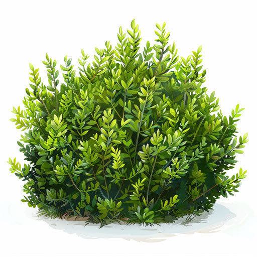 Realistic bush illustration on flat white background, vivid colors and ...