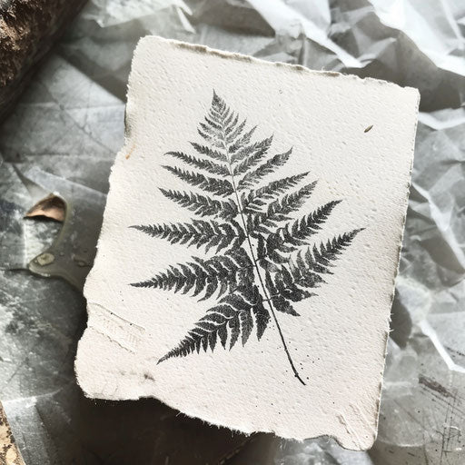 Rustic woodcut fern tattoo on white paper – IMAGELLA