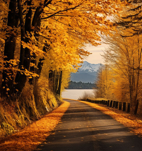 Nature Dp For Whatsapp. Iconic DPs Await! – IMAGELLA